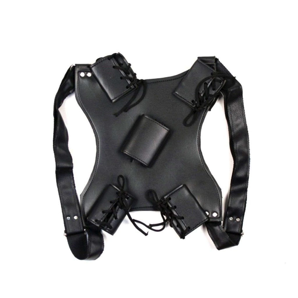 Ace Martial Arts Supply Leonardo Dual Ninja Swords With Back Carrying ...