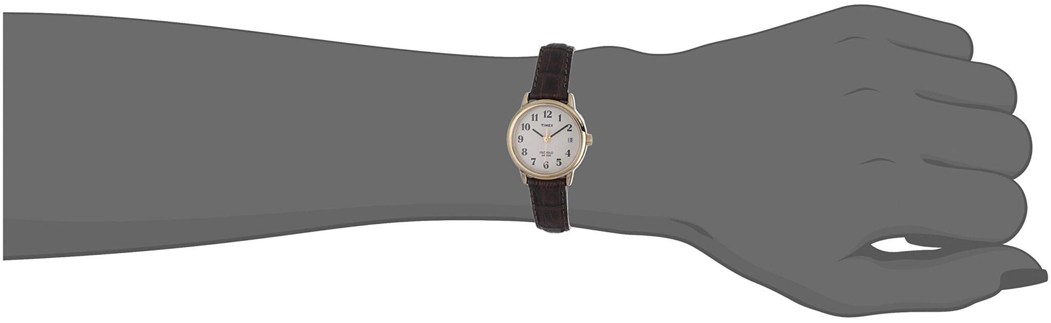 Timex Women's Easy Reader Watch 25MM Brown/Gold-Tone/Natural/25MM ...