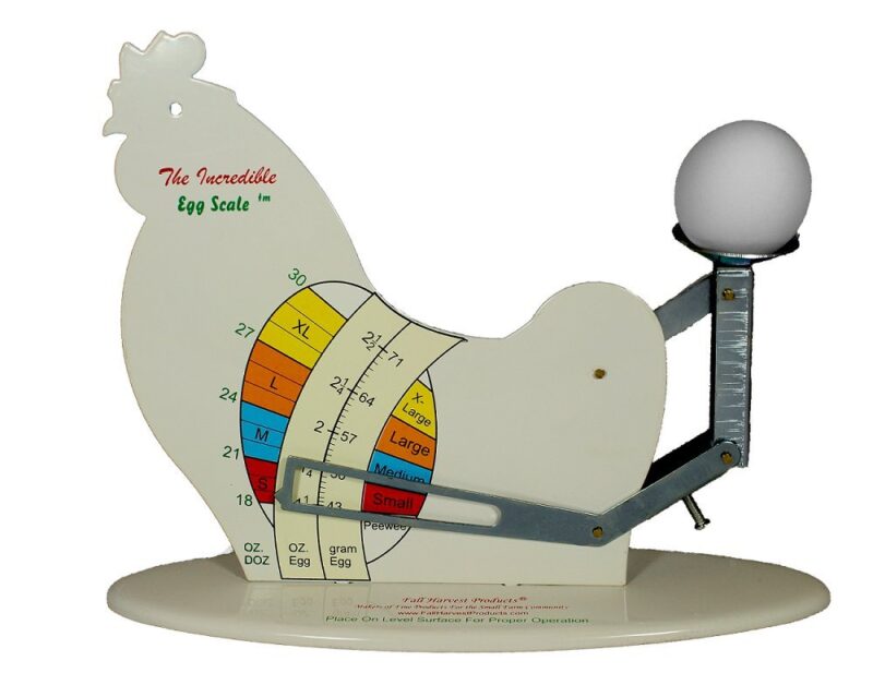 The Incredible Egg Scale 1 - Swiftsly