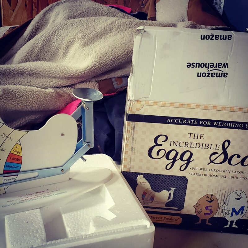 The Incredible Egg Scale 1 - Swiftsly