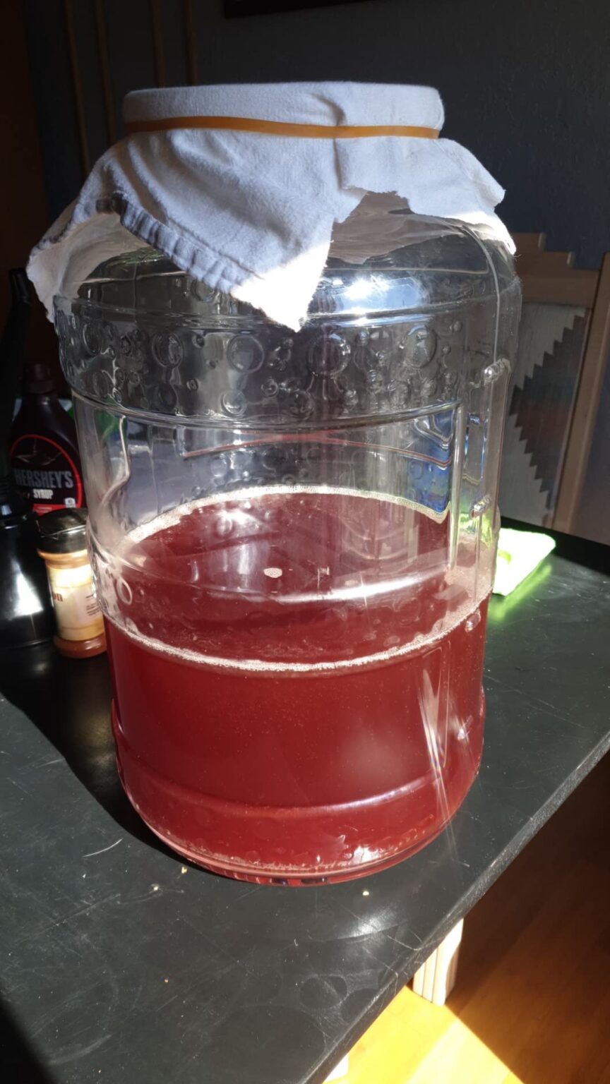 Big Mouth Bubbler® EVO - 5 Gallon Wide Mouth Glass Carboy Fermentor - Swiftsly