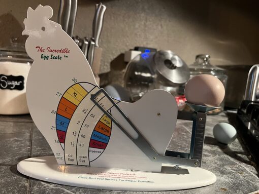 The Incredible Egg Scale 1 - Swiftsly