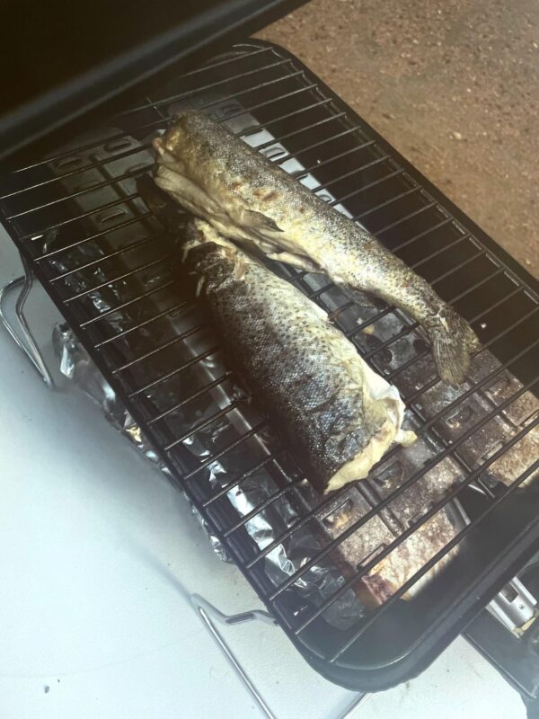 Char-Broil Portable Convective 1-Burner Stainless Steel Propane Gas ...