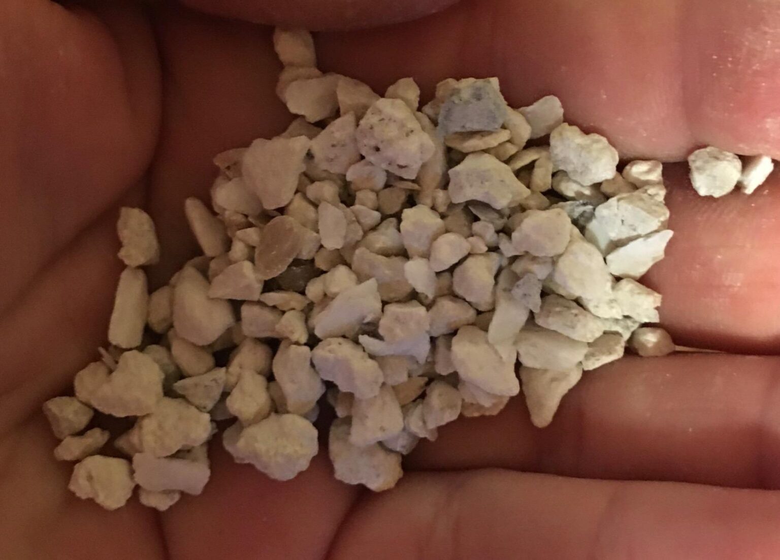 Manna Pro Crushed Oyster Shell Calcium Supplement For Laying Chickens ...