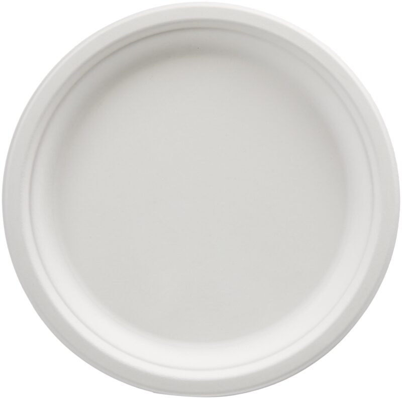 Amazon Basics Compostable Plates, 10-Inch, Pack Of 500 500 Plates White ...