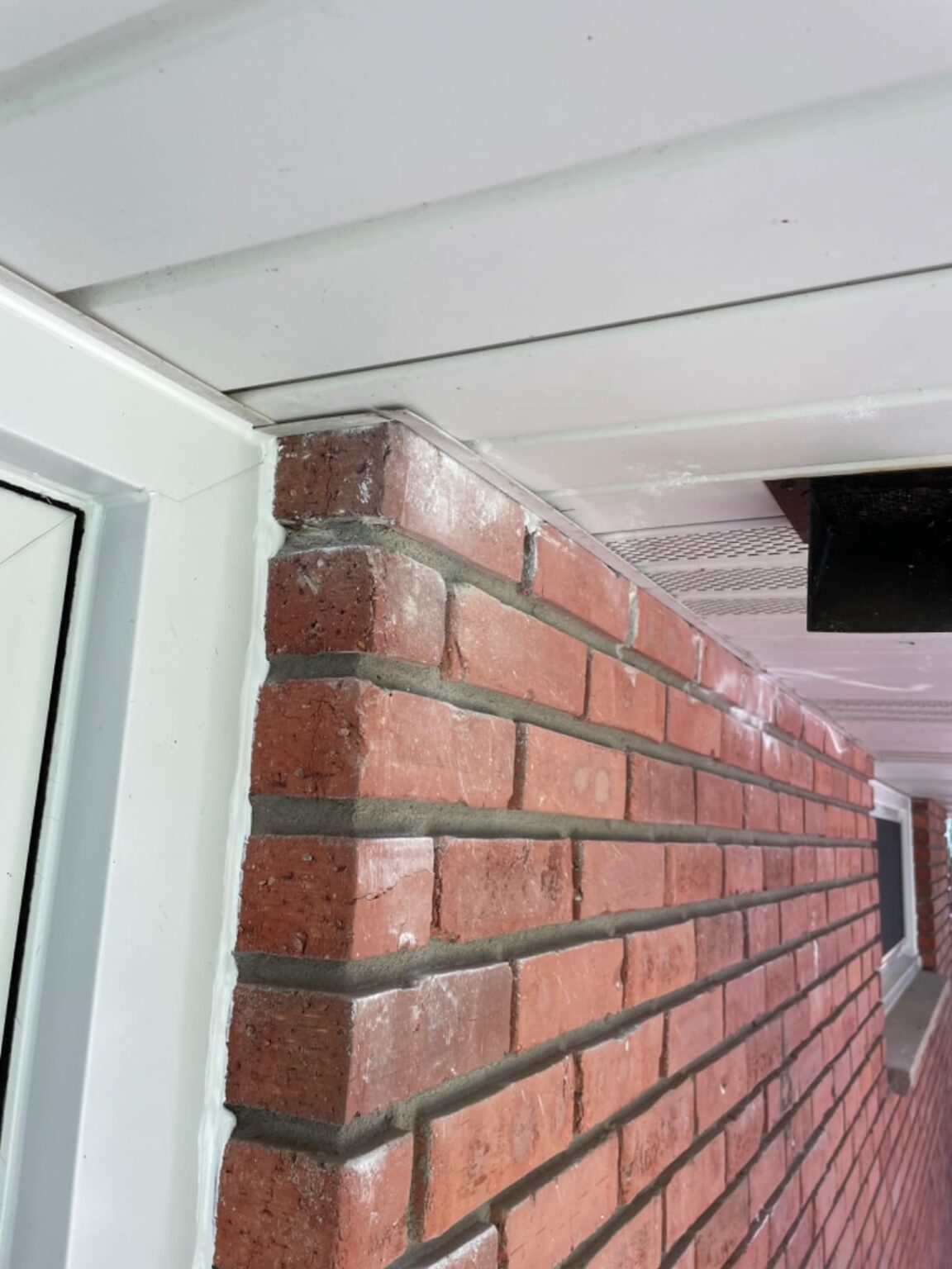 Delta Dust Multi Use Pest Control Insecticide Dust, 1 LB - Swiftsly