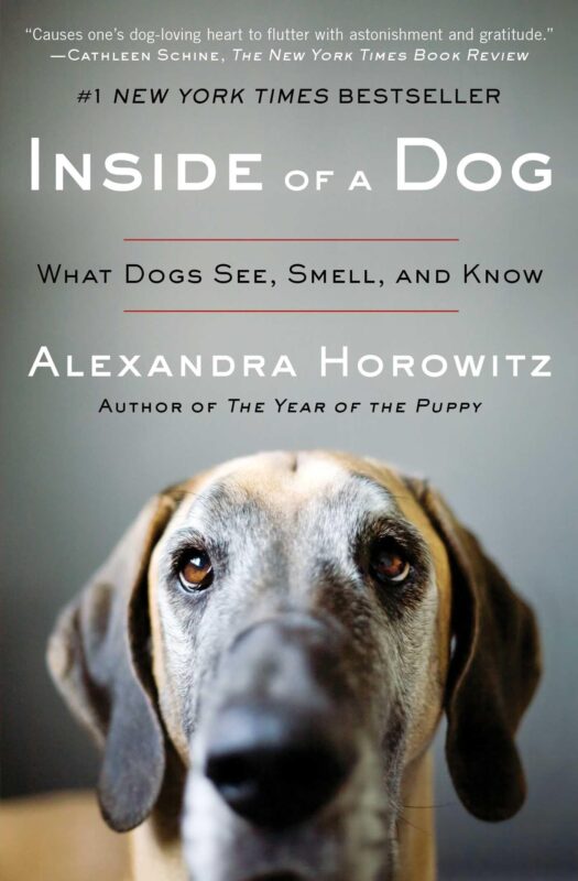 Inside Of A Dog: What Dogs See, Smell, And Know - Swiftsly