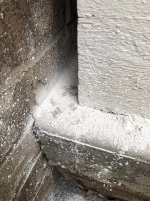 Delta Dust Multi Use Pest Control Insecticide Dust, 1 LB - Swiftsly