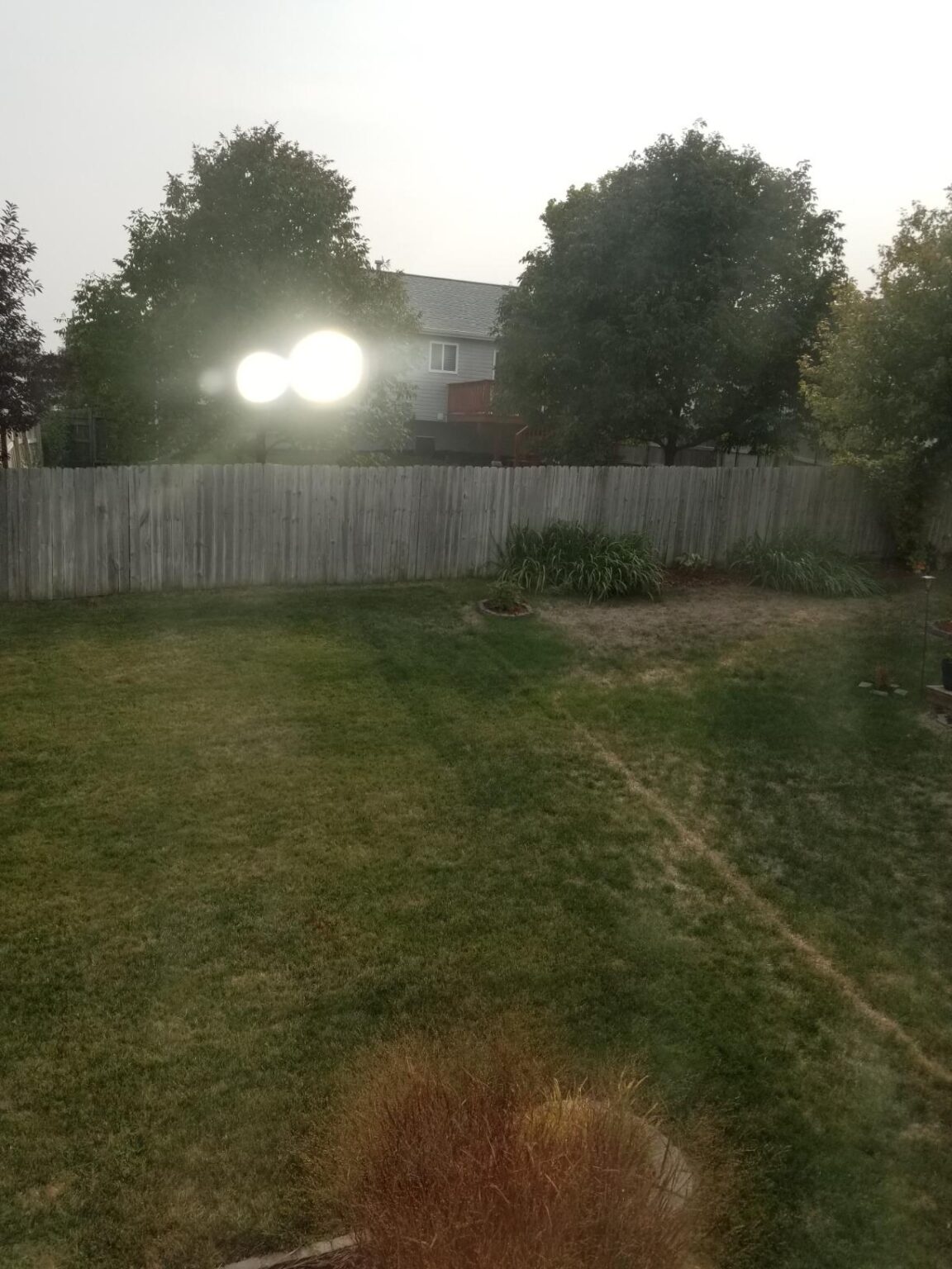 Scotts Turf Builder WinterGuard Fall Weed & Feed3, Weed Killer Plus ...