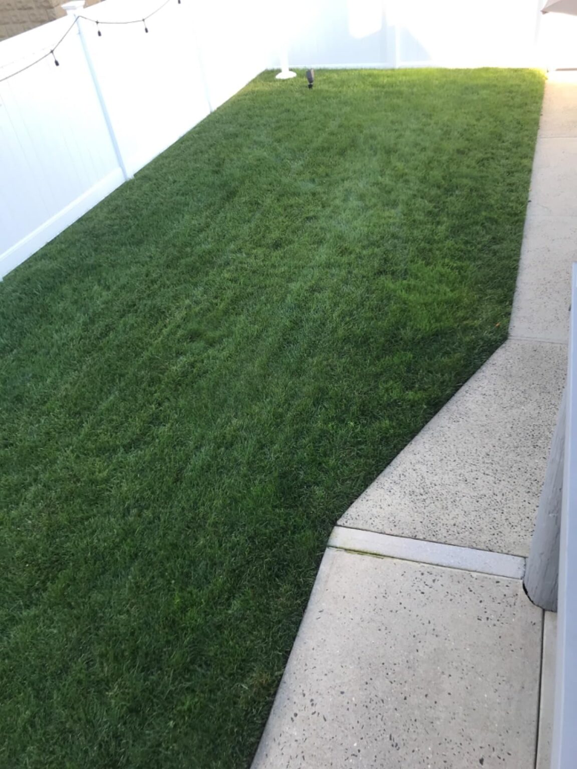 Scotts Turf Builder WinterGuard Fall Weed & Feed3, Weed Killer Plus ...