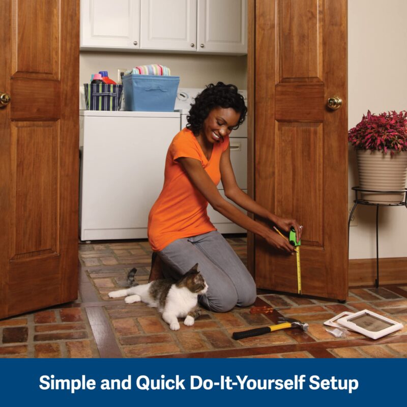 PetSafe Interior Cat Door: 2-Way Locking, Indoor Pet Door Flap - Tinted ...