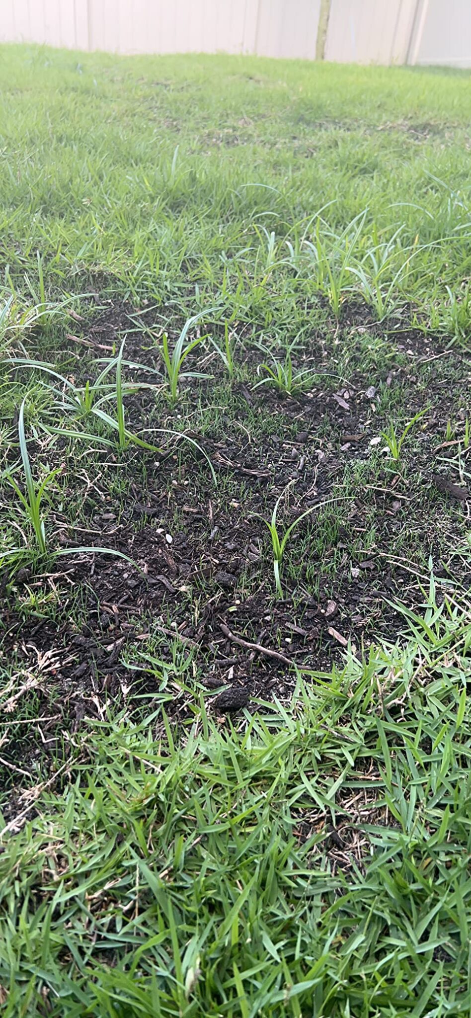 Hydro Mousse Liquid Lawn System - Grow Grass Where You Spray It - Made ...