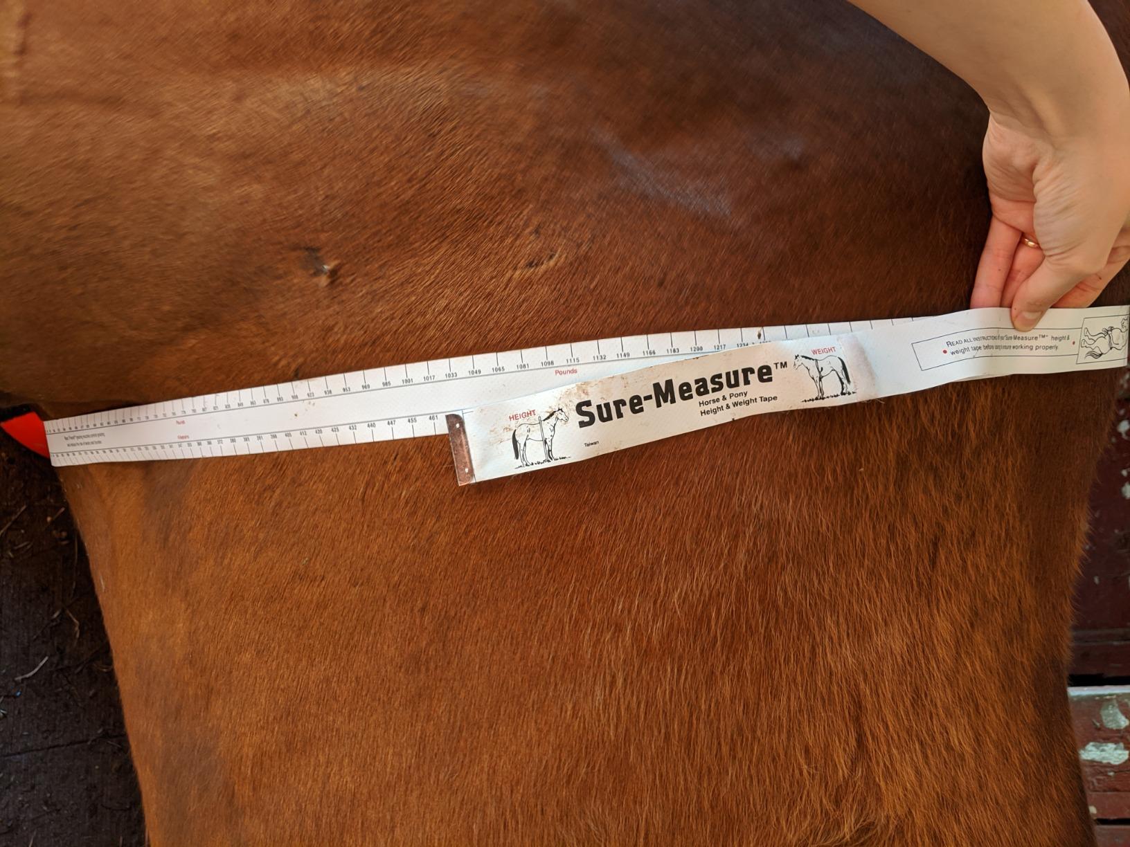 Tough 1 Sure Measure Horse And Pony Height Weight Tape Swiftsly Tough 1 Sure Measure Horse And Pony Height Weight Tape Swiftsly