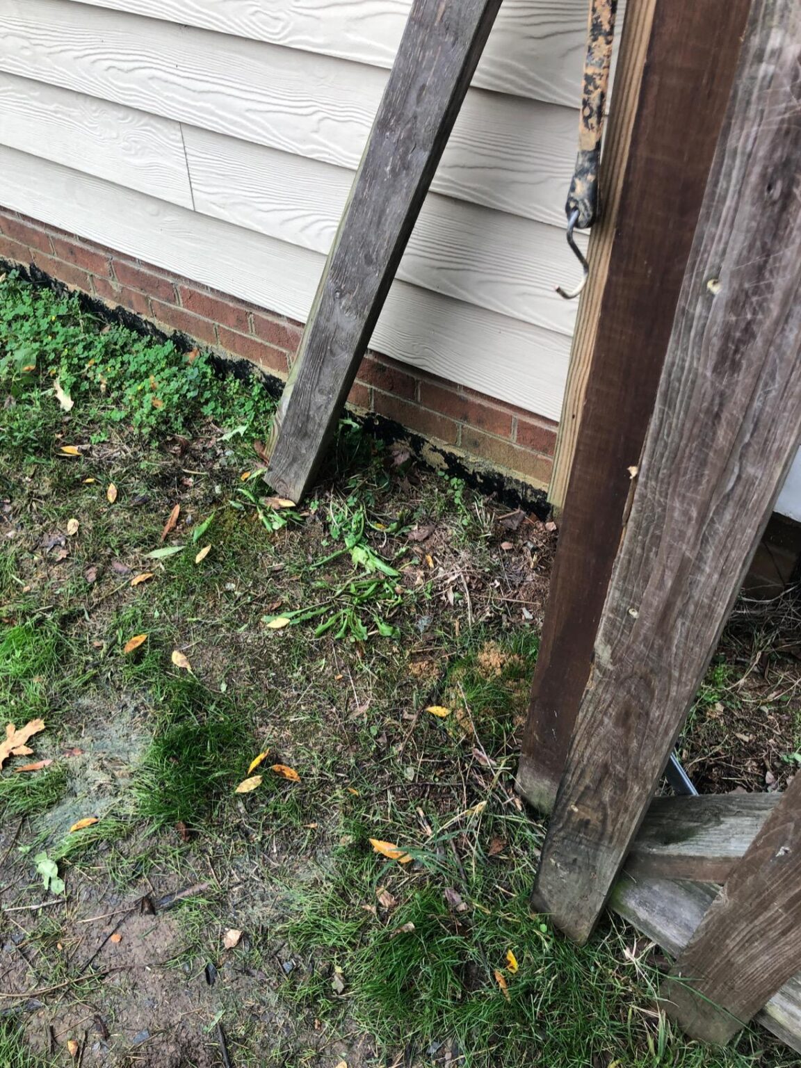 Scotts Turf Builder WinterGuard Fall Weed & Feed3, Weed Killer Plus ...