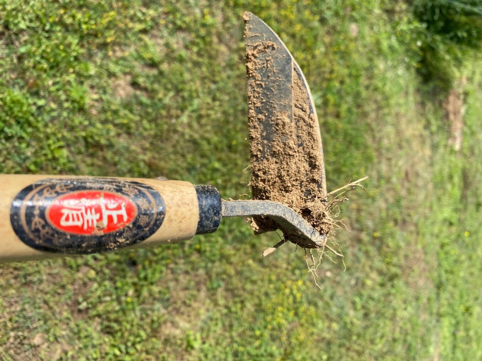 Japanese Weeding Sickle Very Sharp Edge Quick Work (Full Size) - Swiftsly