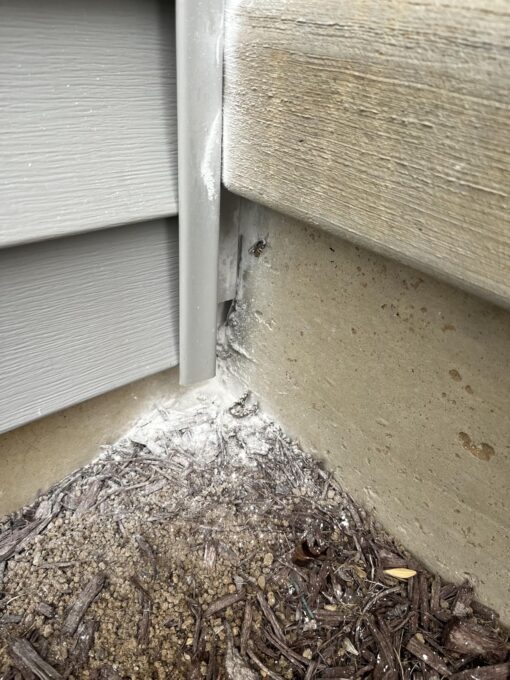 Delta Dust Multi Use Pest Control Insecticide Dust, 1 LB - Swiftsly