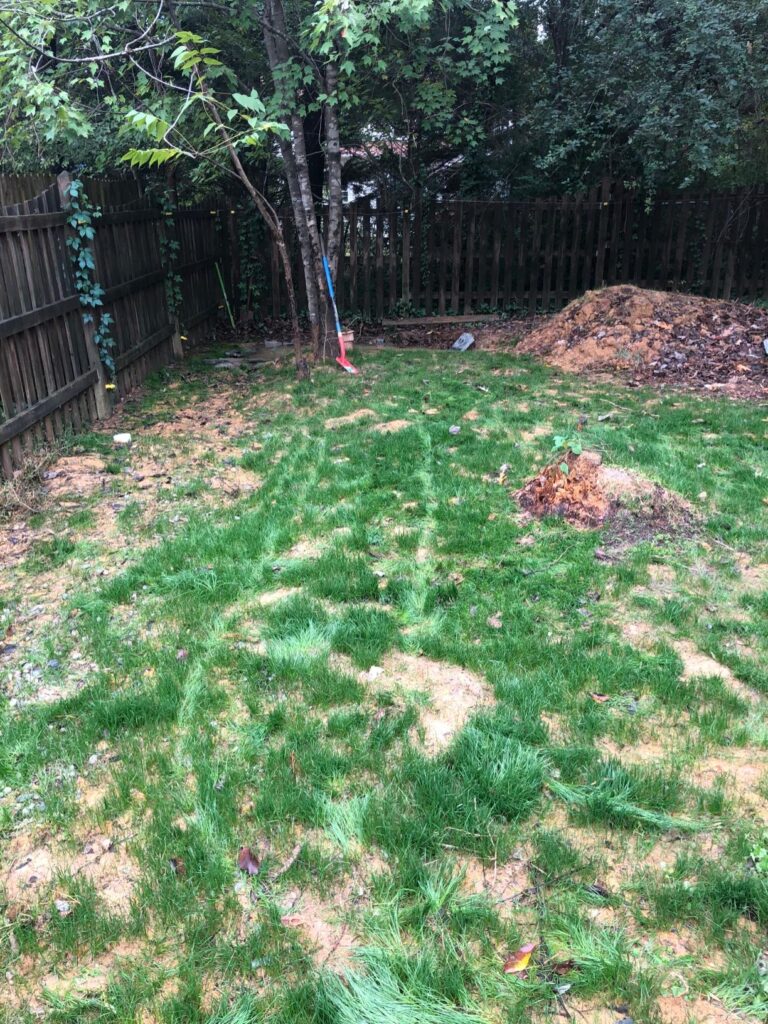 Scotts Turf Builder WinterGuard Fall Weed & Feed3, Weed Killer Plus ...