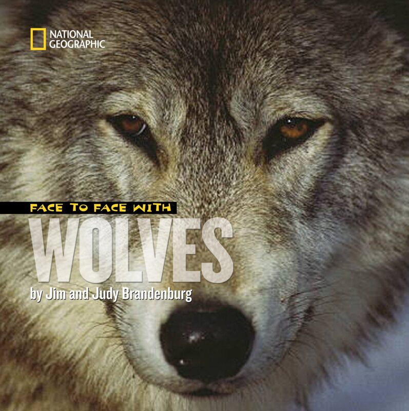 Face To Face With Wolves (Face To Face With Animals) - Swiftsly