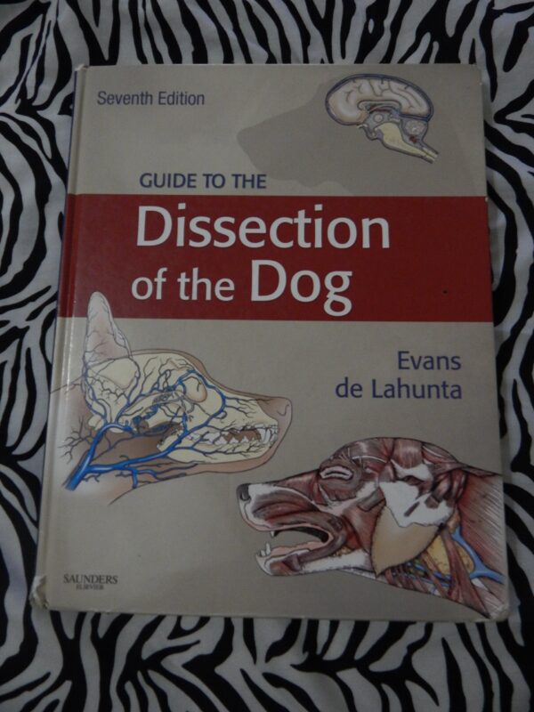 Guide To The Dissection Of The Dog - Swiftsly