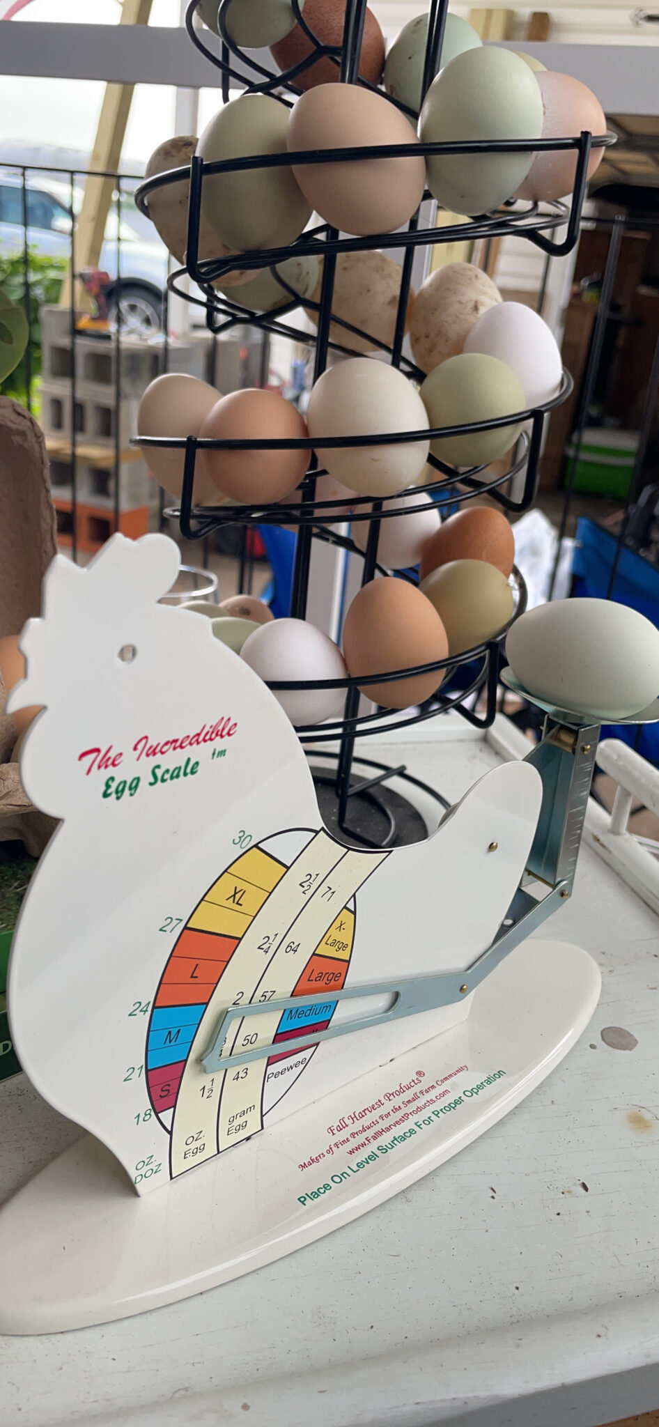 The Incredible Egg Scale 1 - Swiftsly