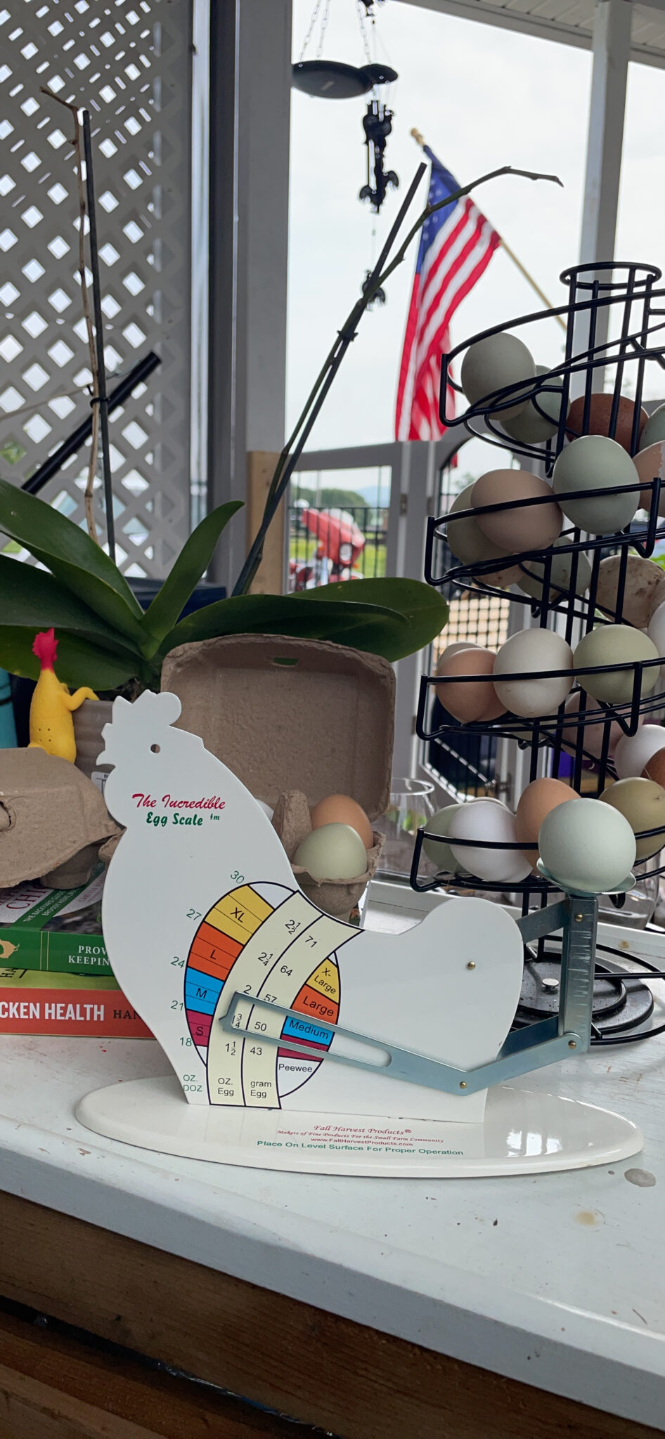 The Incredible Egg Scale 1 - Swiftsly