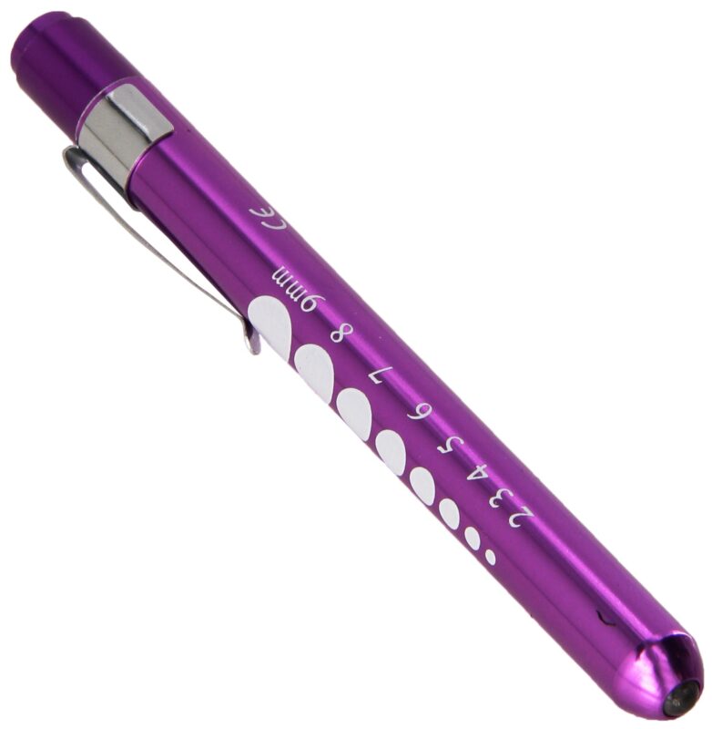 EMI PURPLE Aluminum LED Pupil Gauge Click Penlight - Swiftsly