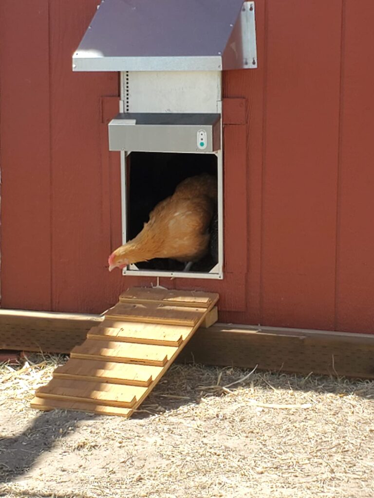 ADOR1 Automatic Chicken Coop Door, Complete With Battery - Swiftsly