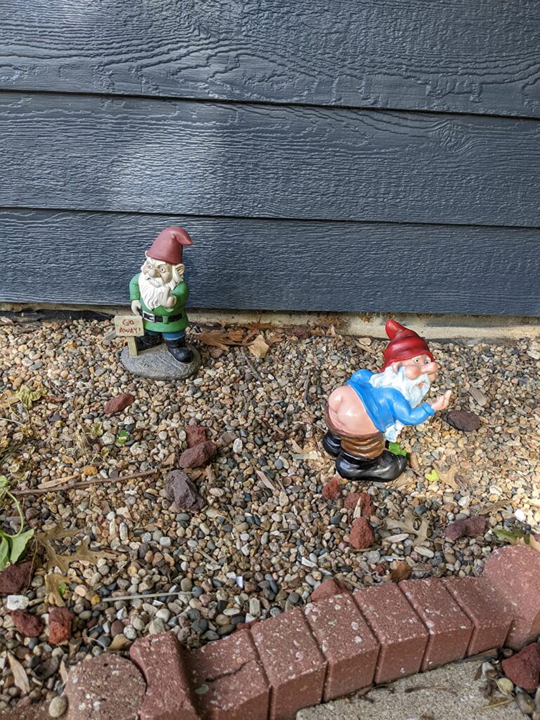 Funny Guy Mugs Middle Finger Gnome Statue - Mooning Gnome - Indoor Or ...