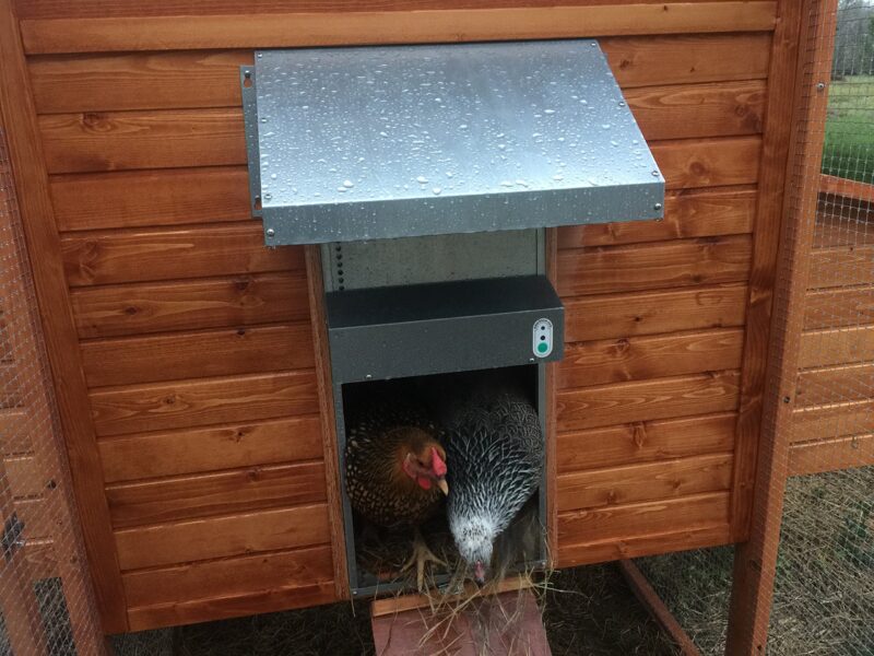 ADOR1 Automatic Chicken Coop Door, Complete With Battery - Swiftsly