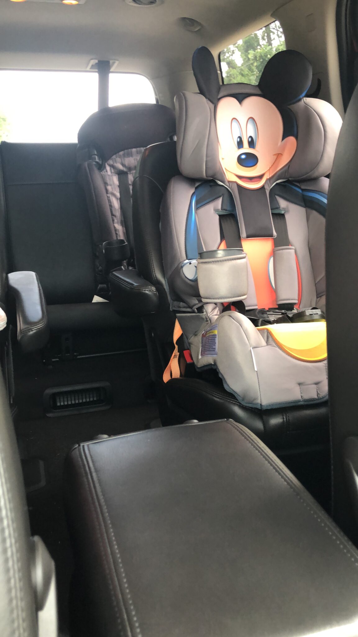 KidsEmbrace 2-in-1 Forward-Facing Harness Booster Seat, Disney Mickey ...
